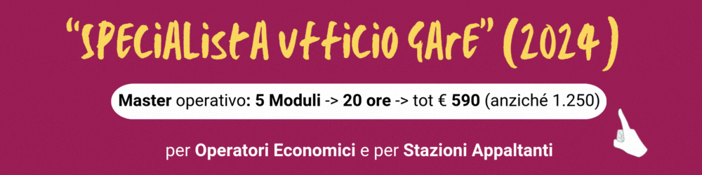 La Piattaforma Sater spiegata da Intercent E.R.